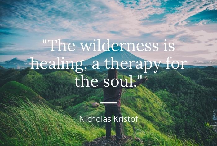 Counselor Quotes 6 – “The wilderness is healing, a therapy for the soul.”