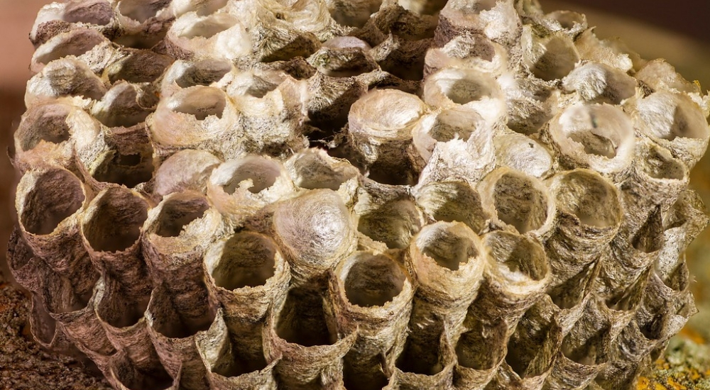 Why these or any images produce such an intense response in some people ...